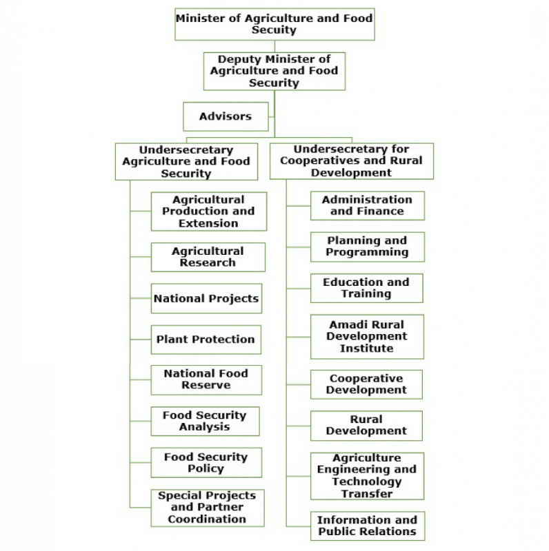 Ministry Structure – Ministry of Agriculture and Food Security South Sudan