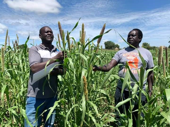 Ministry of Agriculture and Food Security South Sudan – Republic of ...