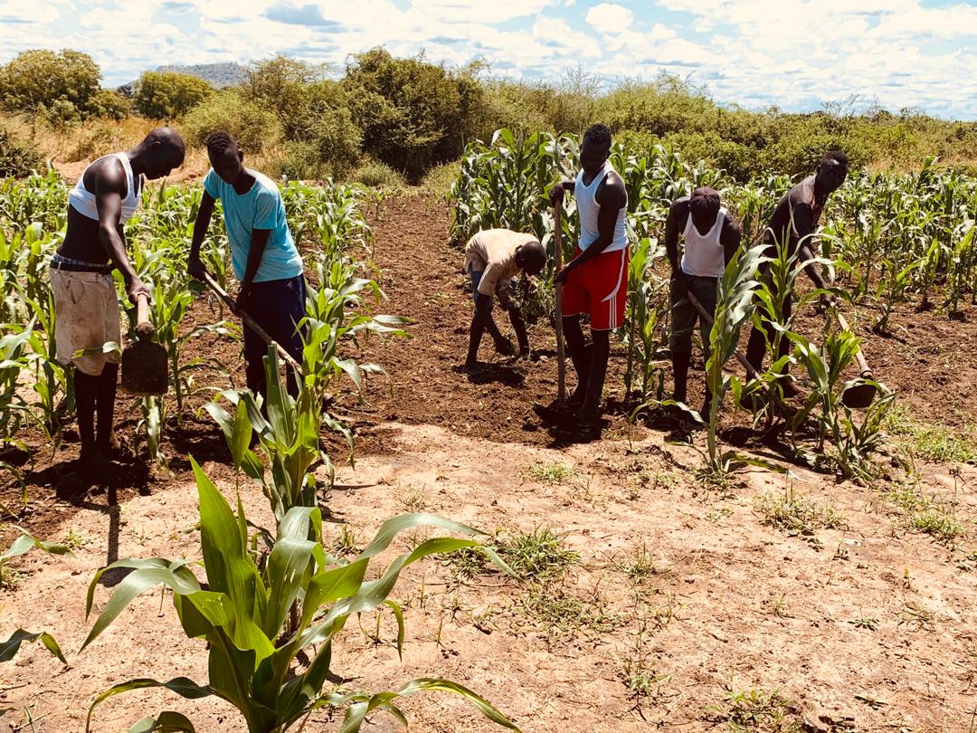 Ministry of Agriculture and Food Security South Sudan – Republic of ...