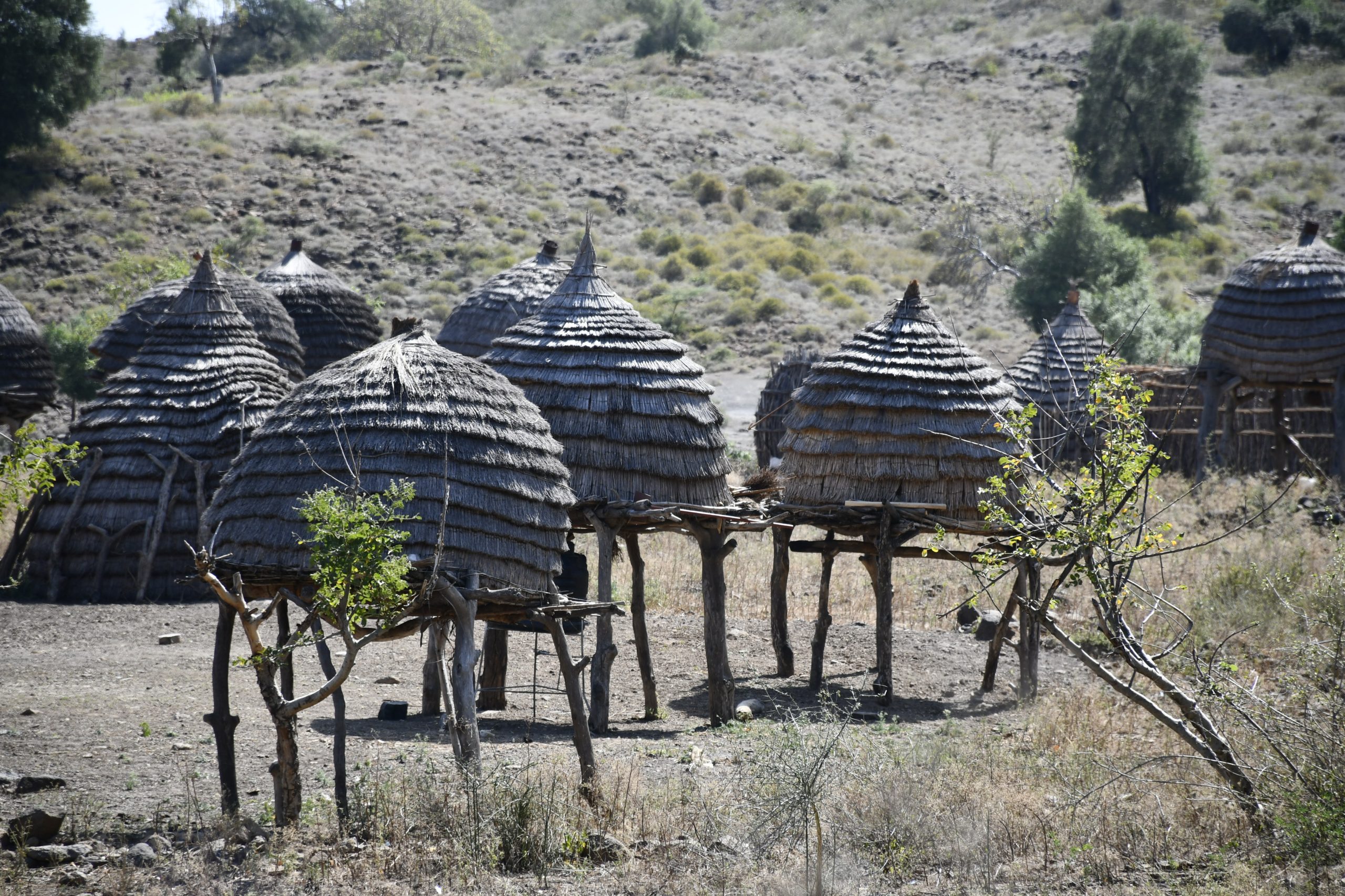 Ministry of Agriculture and Food Security South Sudan – Republic of ...