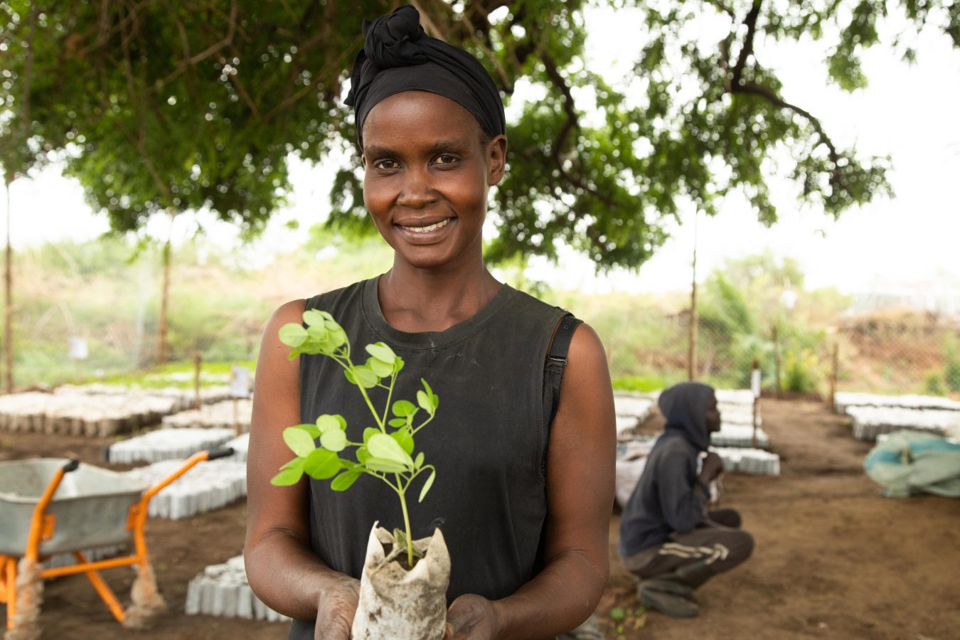 Emergency Cash Assistance Improves the Livelihoods of Desert Locust ...