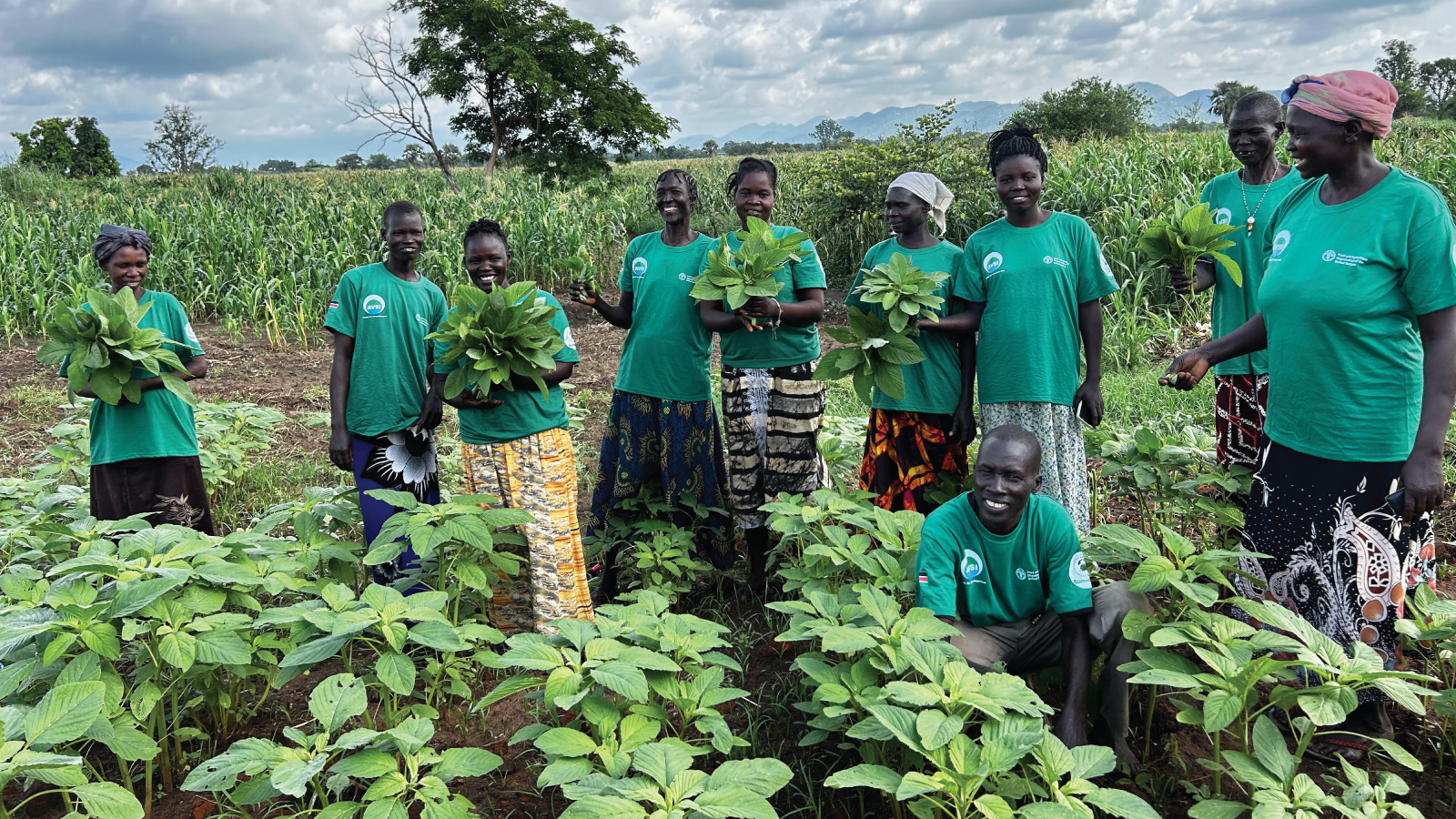 Ministry of Agriculture and Food Security South Sudan – Republic of ...