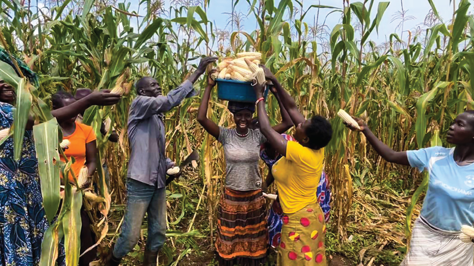 Ministry of Agriculture and Food Security South Sudan – Republic of ...